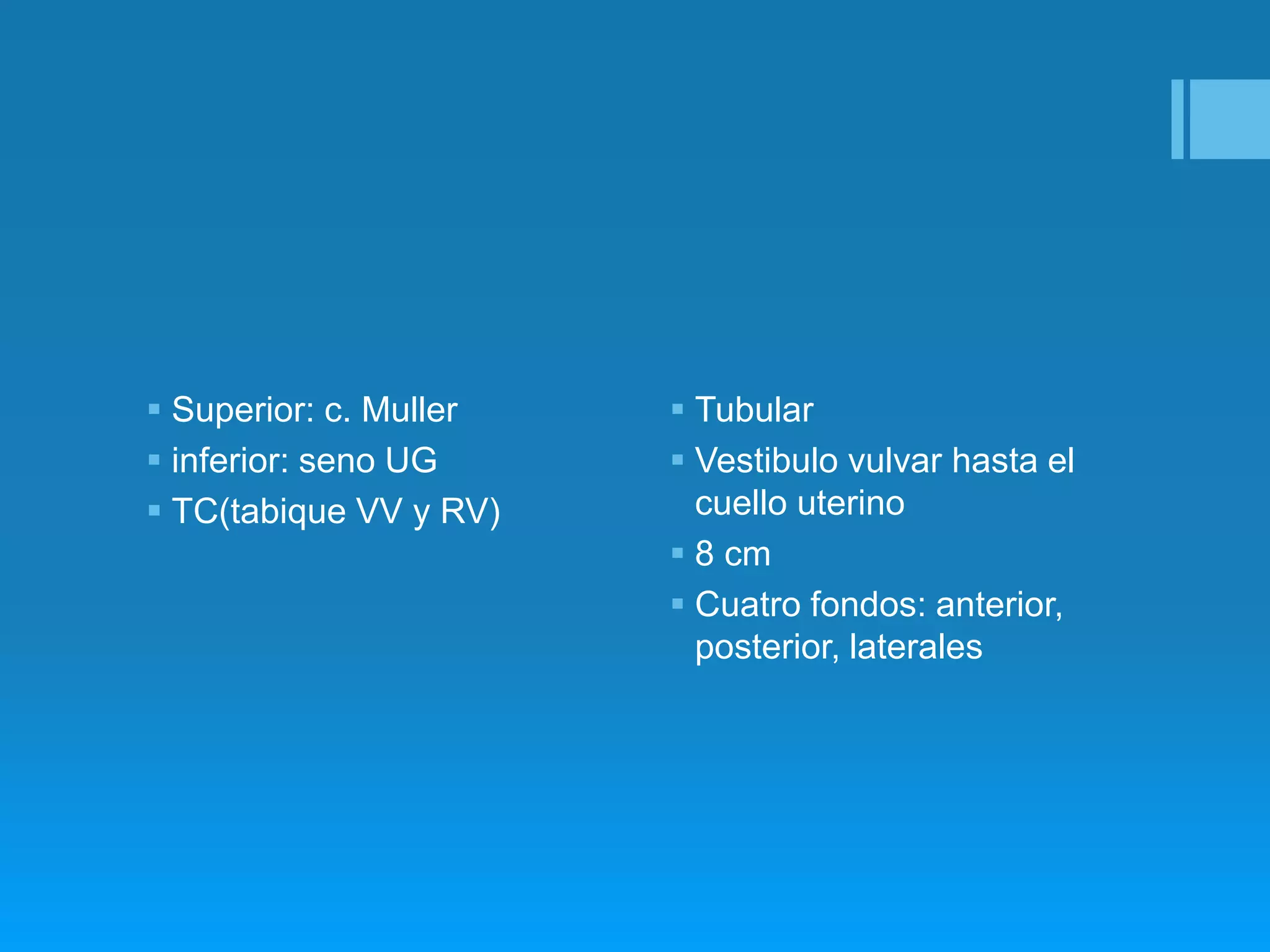 Anatomia del cervix | PPTX | Pregnancy | Reproductive Health