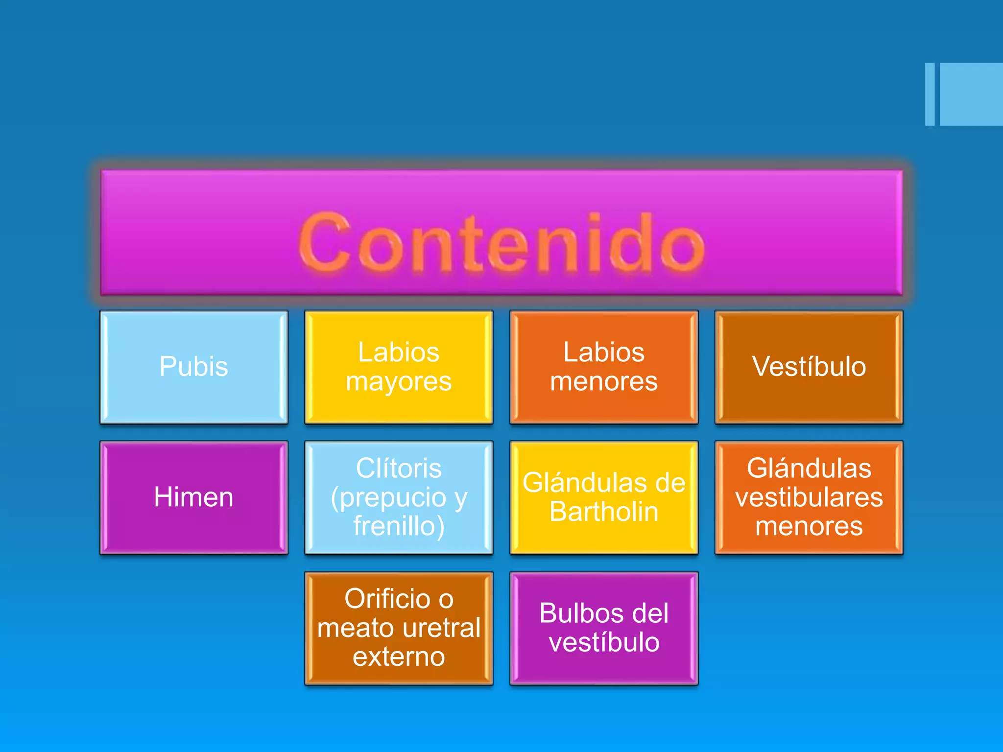 Anatomia del cervix | PPTX | Pregnancy | Reproductive Health