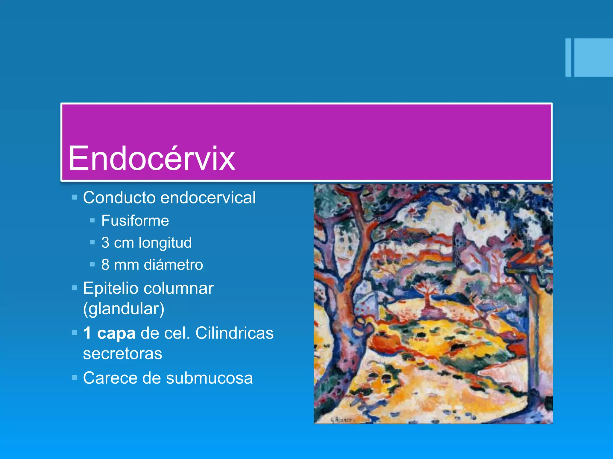 Anatomia del cervix | PPTX | Pregnancy | Reproductive Health