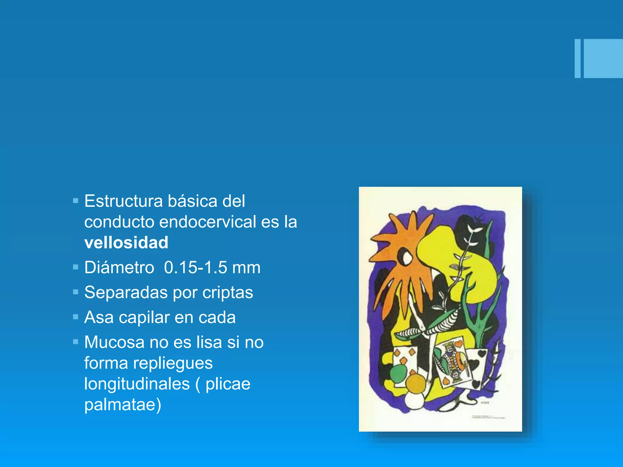 Anatomia del cervix | PPTX | Pregnancy | Reproductive Health