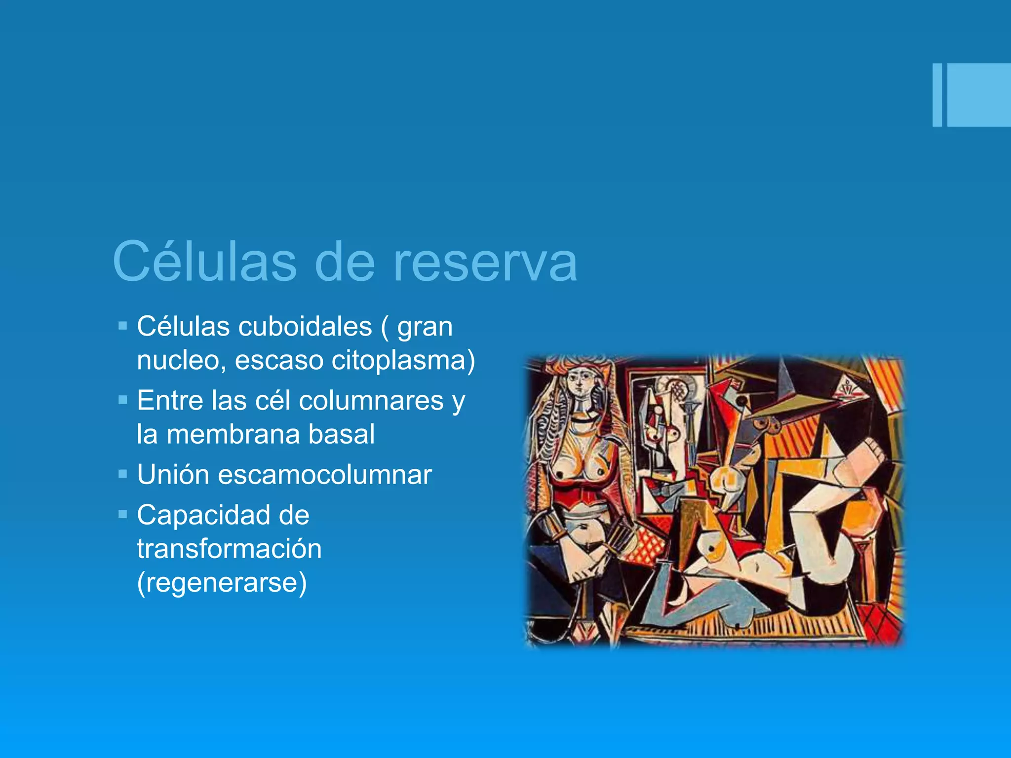 Anatomia del cervix | PPTX | Pregnancy | Reproductive Health