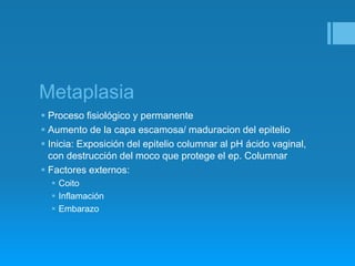 Anatomia del cervix | PPTX