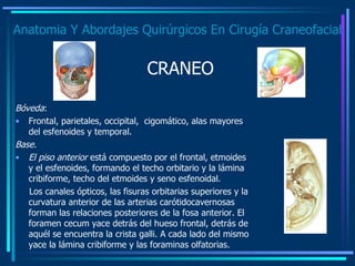 Anatomia Y Abordajes Quirúrgicos En Cirugía Craneofacial | PPT