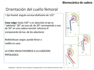 anatomia y biomecanica de cadera JA.pptx......... | PPTX