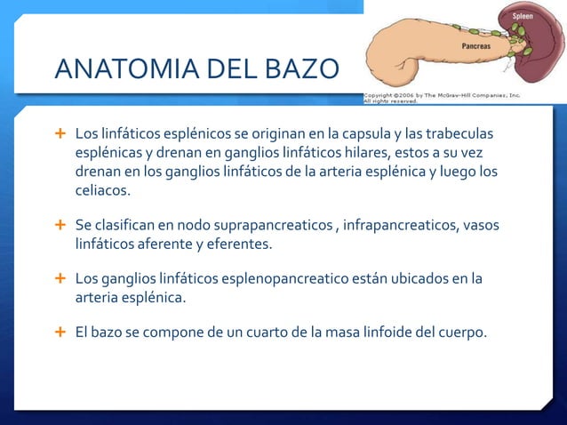 Anatomia y embriologia del bazo hernan | PPTX