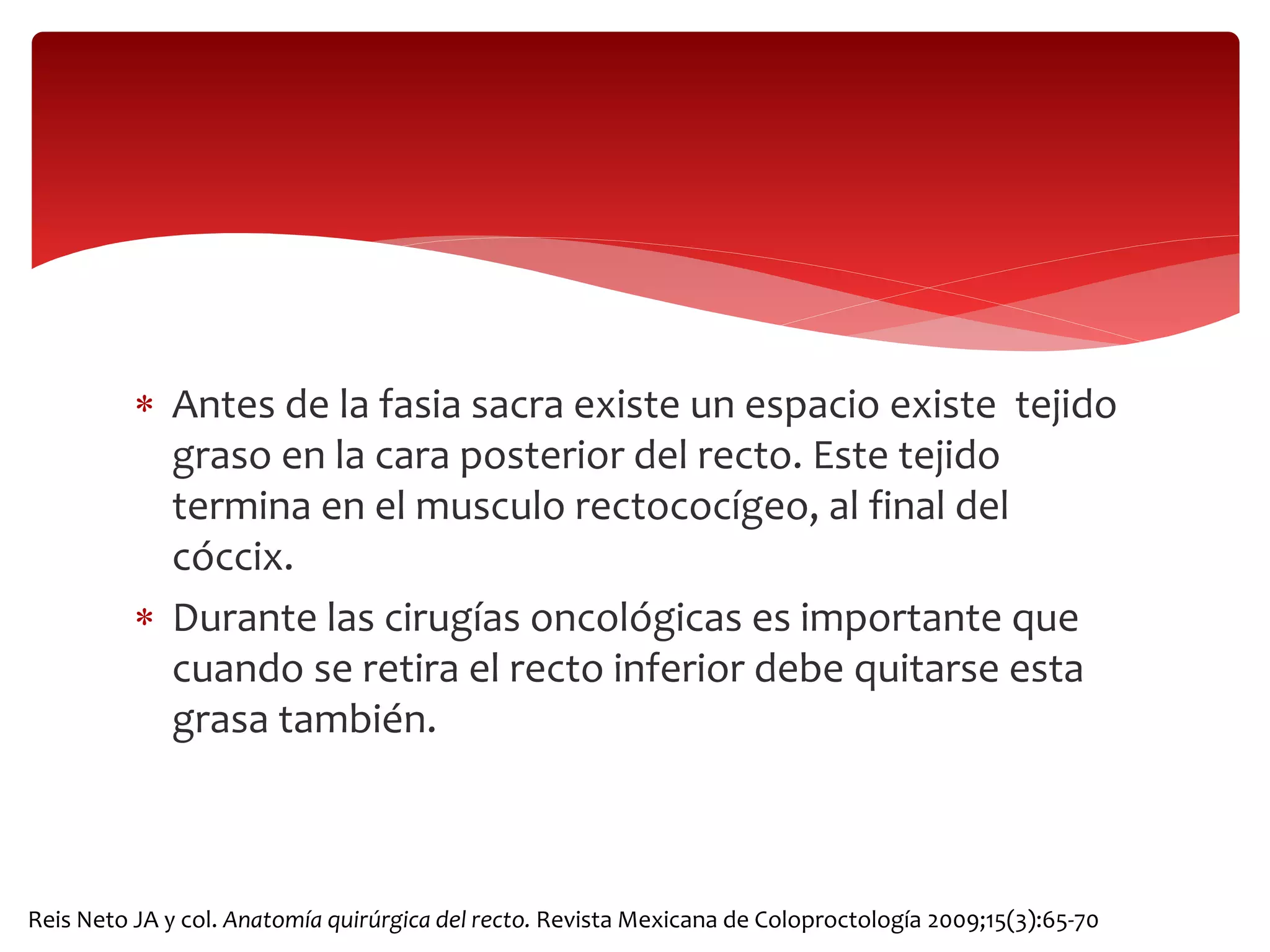 Anatomia y embriologia de recto y ano | PPTX