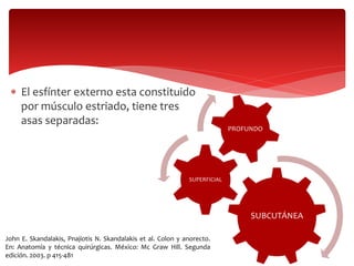 Anatomia y embriologia de recto y ano | PPTX
