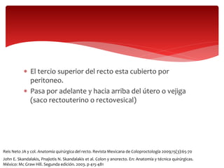 Anatomia y embriologia de recto y ano | PPTX