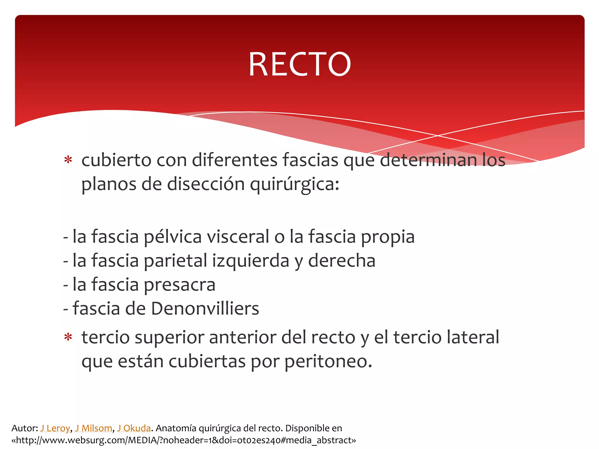 Anatomia y embriologia de recto y ano | PPTX