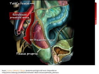 Anatomia y embriologia de recto y ano | PPTX