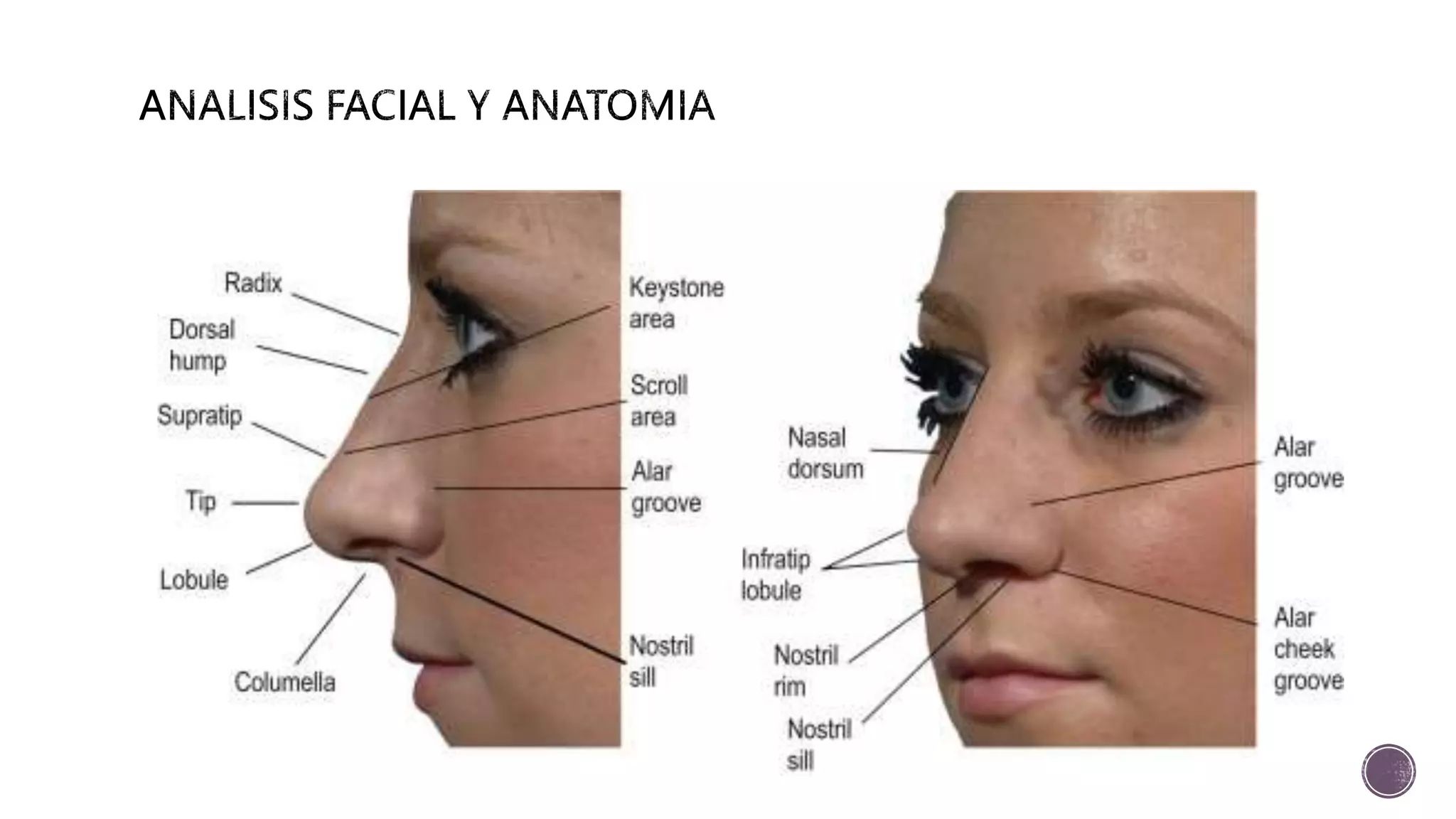 Anatomia y embriologia nasal.pptx