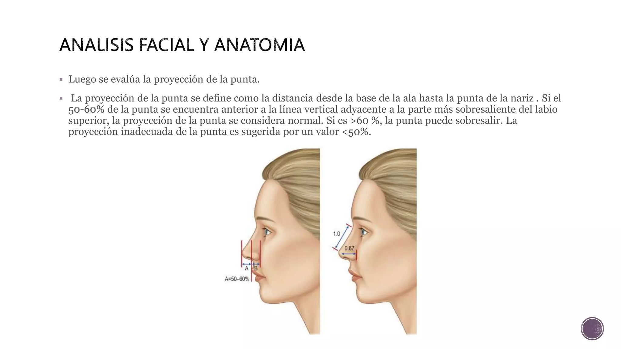 Anatomia y embriologia nasal.pptx