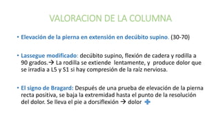 Anatomia y examen clinico de la columna | PPTX
