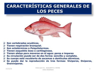 Anatomia y fisiología de peces | PPT