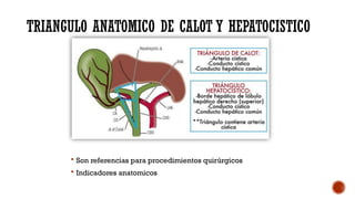 Anatomia y fisiología de vias biliares.pptx