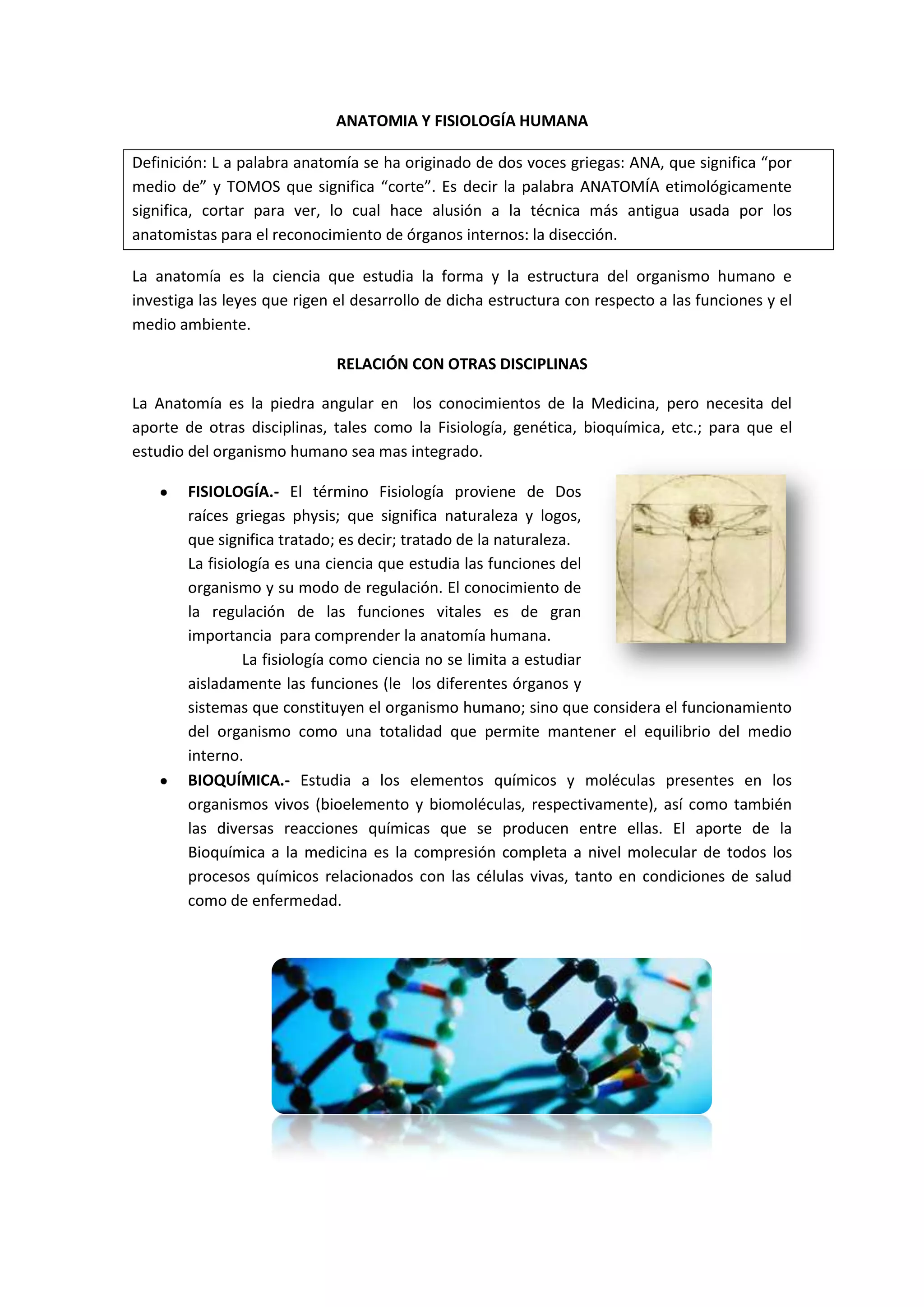 Anatomia y fisiología humana | DOCX