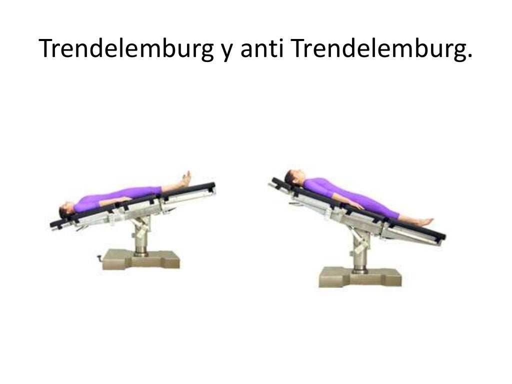 Anatomia y fisiologia