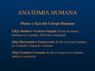 Anatomia y fisiologia_01 | PPT