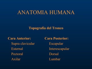 Anatomia y fisiologia_01 | PPT