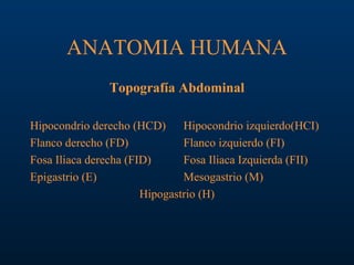 Anatomia y fisiologia_01 | PPT