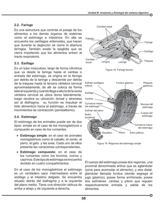 Anatomia y fisiologia_animal | PDF
