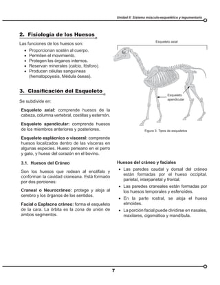Anatomia y Fisiologia Animal.pdf