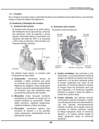 Anatomia y Fisiologia Animal.pdf