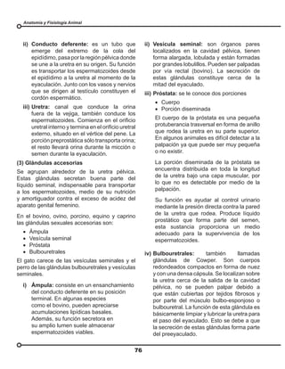 Anatomia y Fisiologia Animal.pdf