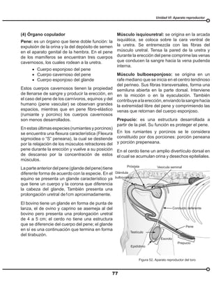 Anatomia y Fisiologia Animal.pdf