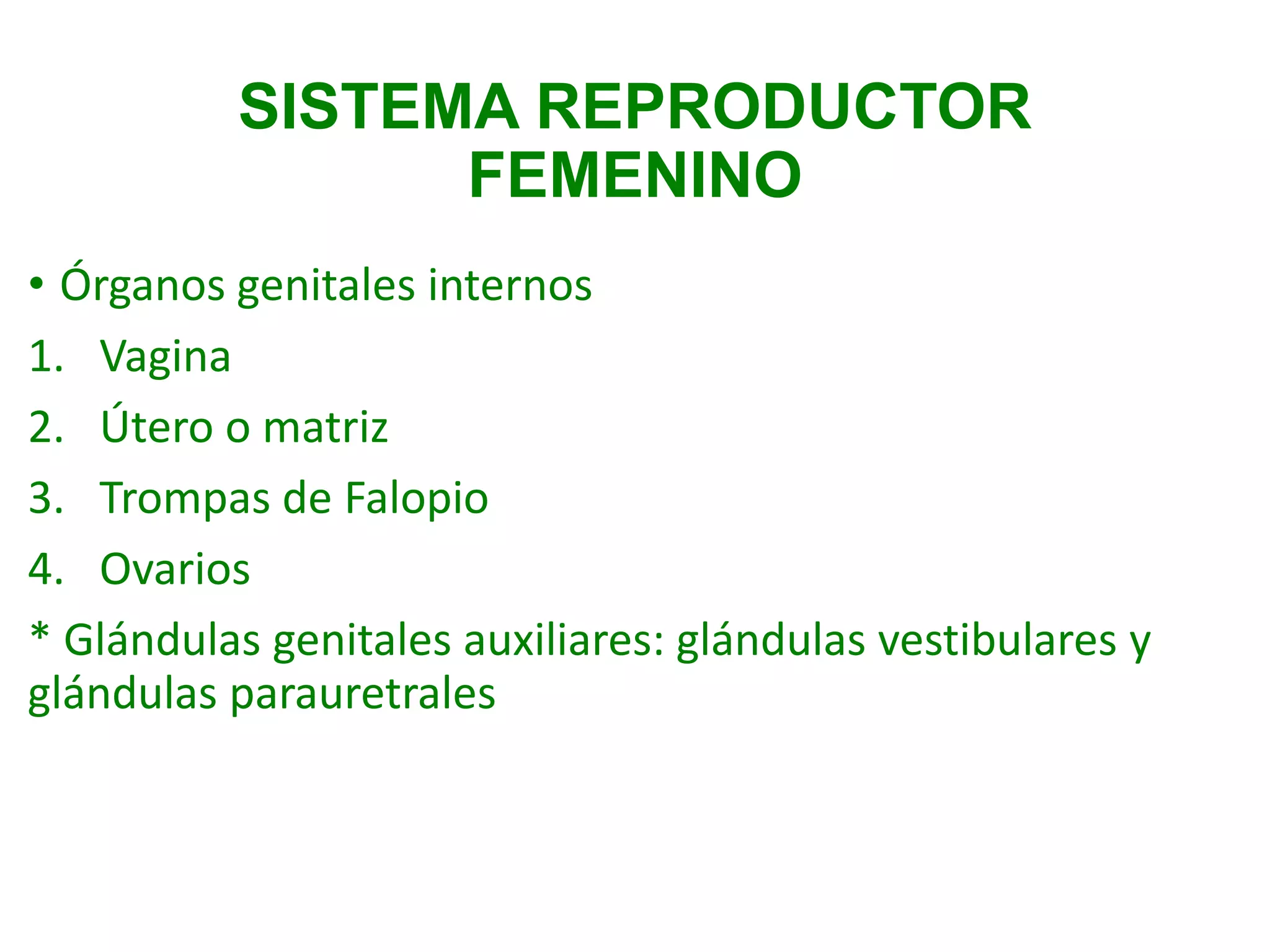 Anatomia y fisiología aparato reproductor masculino y femenino | PDF