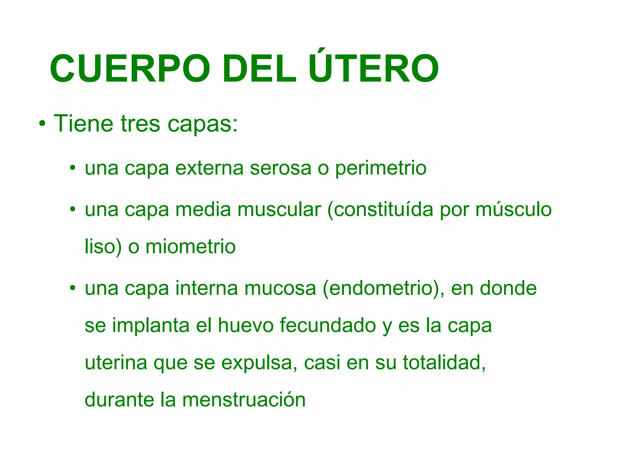 Anatomia y fisiología aparato reproductor masculino y femenino | PDF