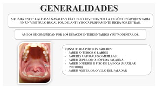 ANATOMIA Y FISIOLOGIA BUCAL.pptx