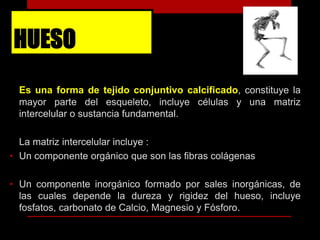 Anatomia y fisiologia bucodentaria | PPTX