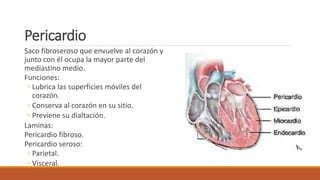 Anatomia y fisiologia cardiaca.pptx