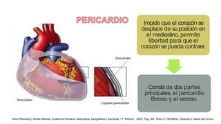 Anatomia_y_Fisiologia_Cardio GIOVANNI.pptx