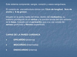 Anatomia y fisiologia cardiopulmonar | PPT