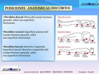 Anatomia y fisiologia CCUR-MED | PPTX