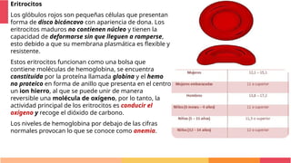 ANATOMIA Y FISIOLOGIA SISTEMA CIRCULATORIO | PPTX