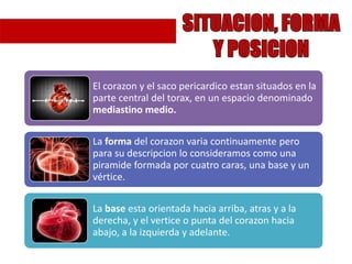 Anatomia y fisiologia del sistema cardiovascular | PPTX