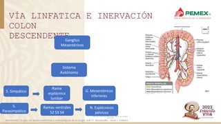 ANATOMÍA Y FISIOLOGÍA DE COLON sakandalakis.pptx