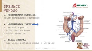 ANATOMÍA Y FISIOLOGÍA DE COLON sakandalakis.pptx