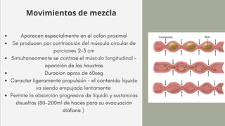 Anatomia y fisiologia de colon que t serviara.pdf