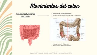 Anatomia y fisiología de Colon, recto y ano.pdf