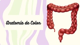 Anatomia y fisiología de Colon, recto y ano.pdf