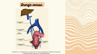 Anatomia y fisiología de Colon, recto y ano.pdf