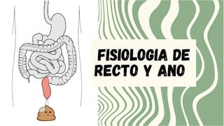Anatomia y fisiología de Colon, recto y ano.pdf