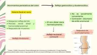 Anatomia y fisiología de Colon, recto y ano.pdf