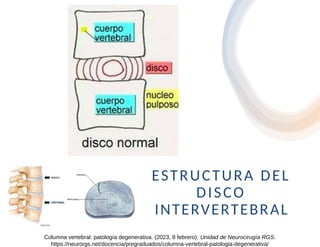 ANATOMIA Y FISIOLOGIA DE COLUMNA vertebral.pptx