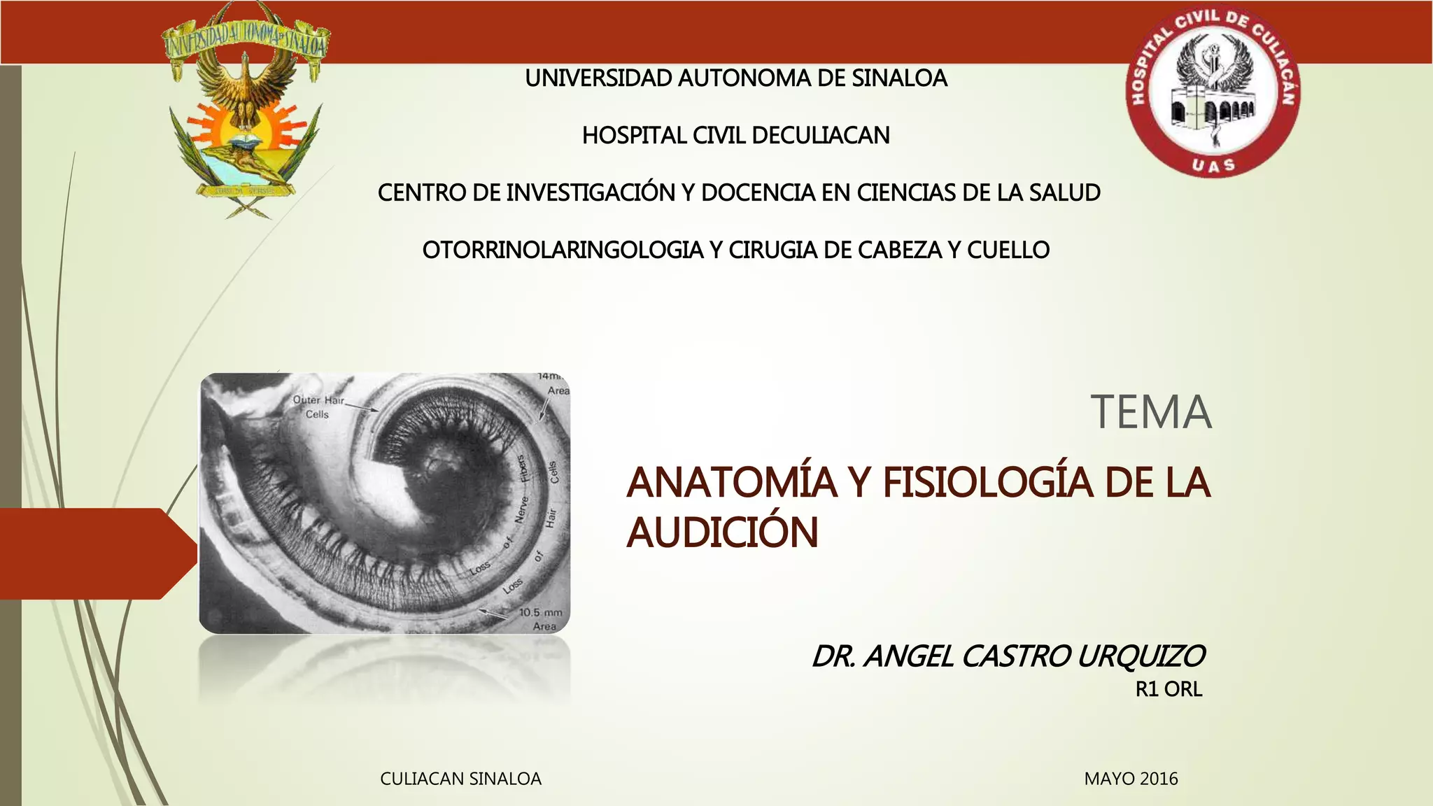 Anatomia y fisiologia de la audicion | PPTX