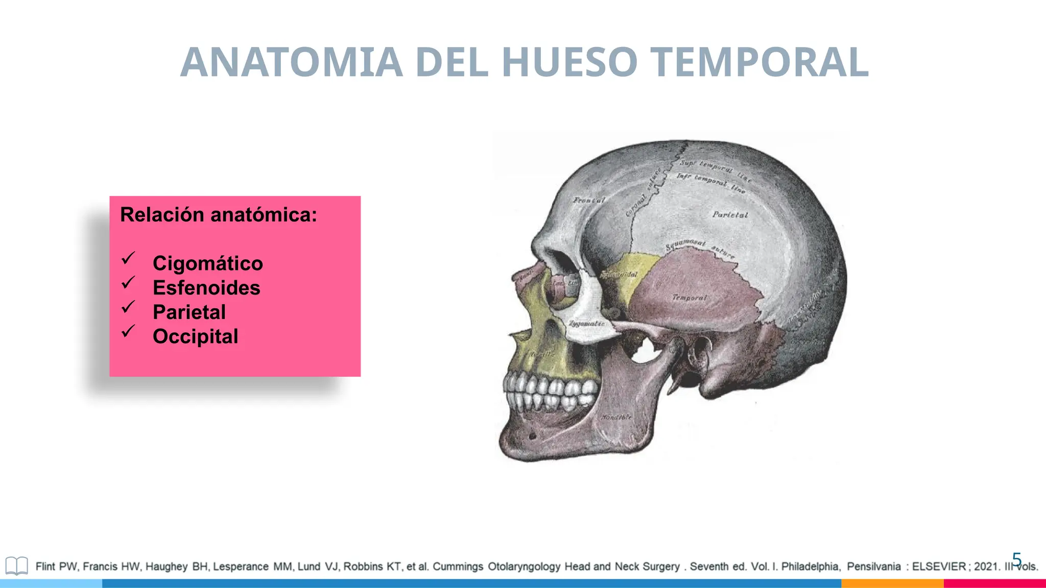 ANATOMIA Y FISIOLOGIA DE LA AUDICION.pptx